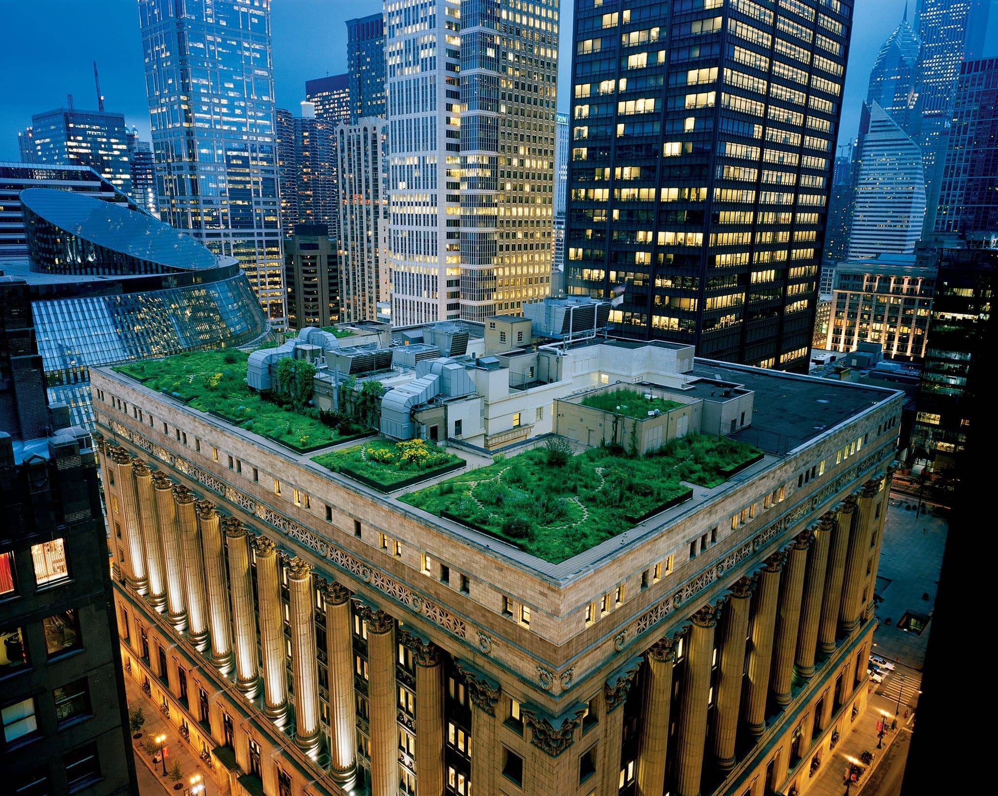 Green Roofs | Polypipe Middle East